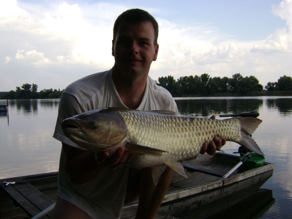 fzoli20 - Amur - Haldorádó horgász áruház