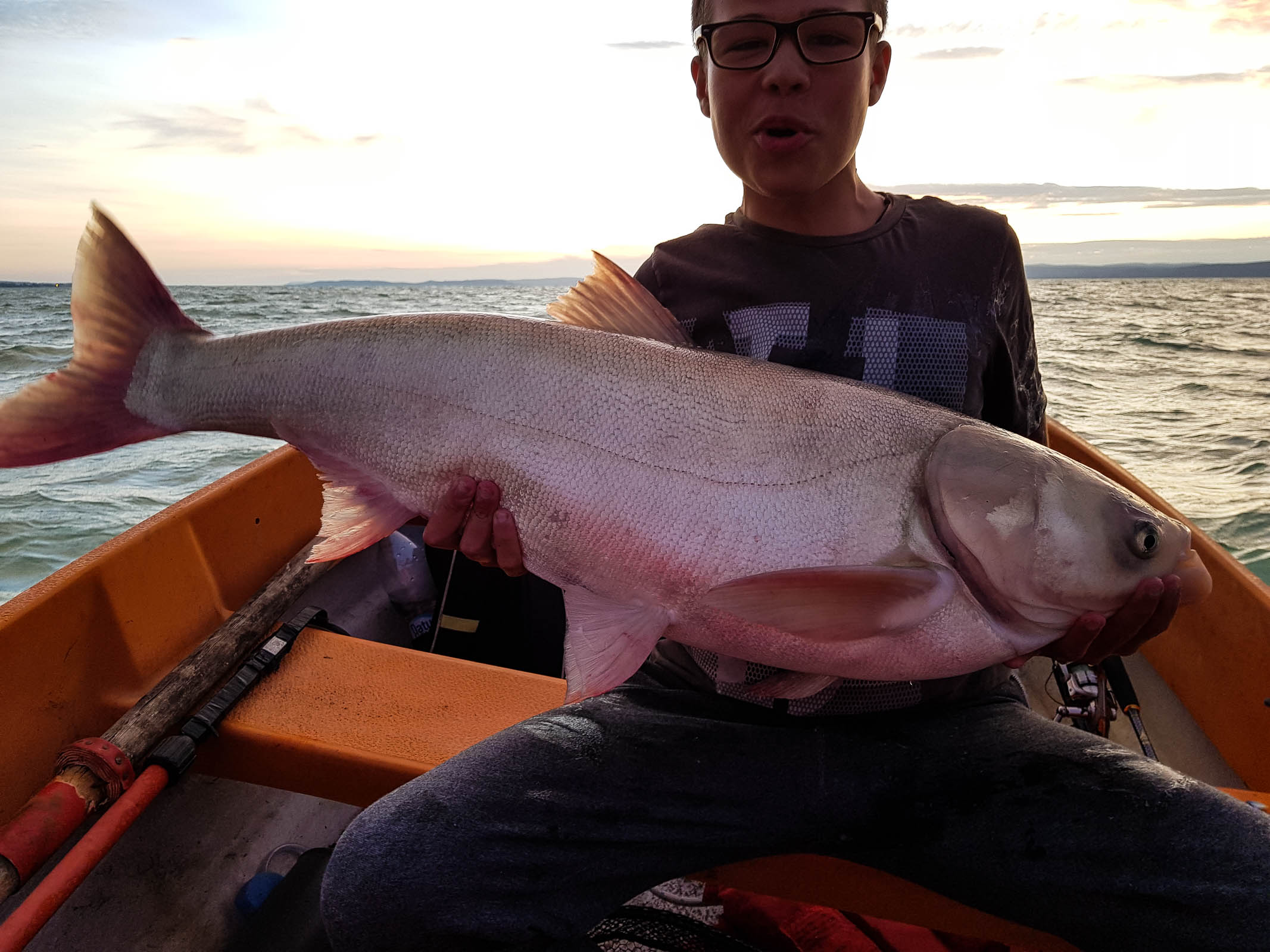 ridgeback - Busa - Haldorádó horgász áruház