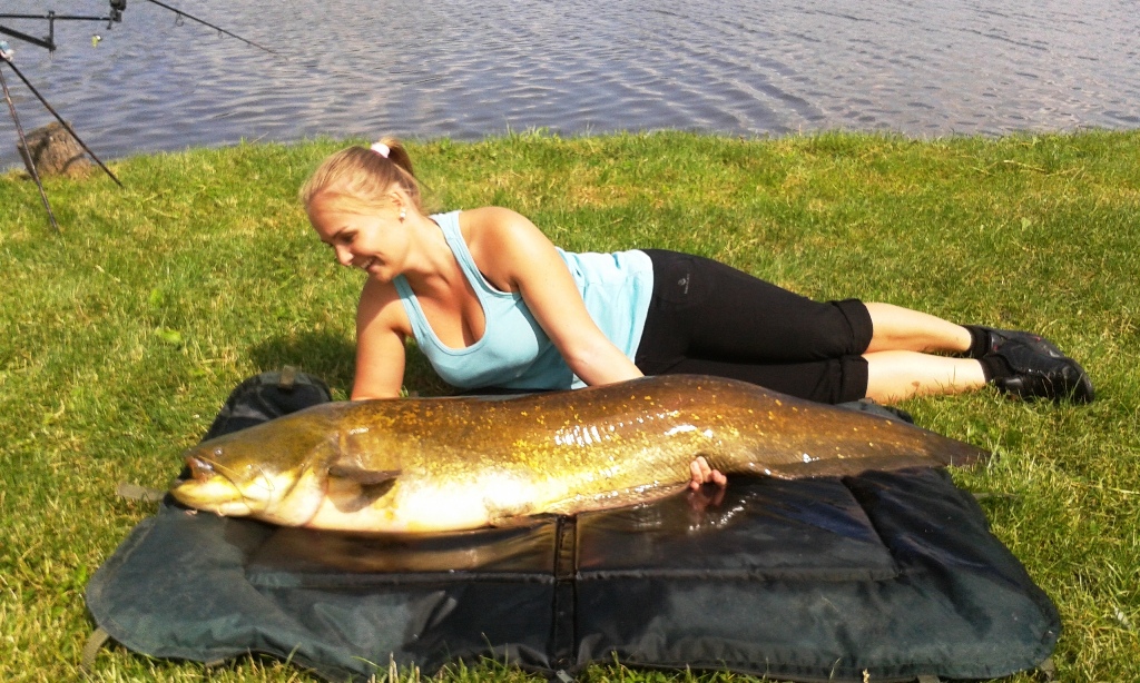 kittike10 - Harcsa - Haldorádó horgász áruház