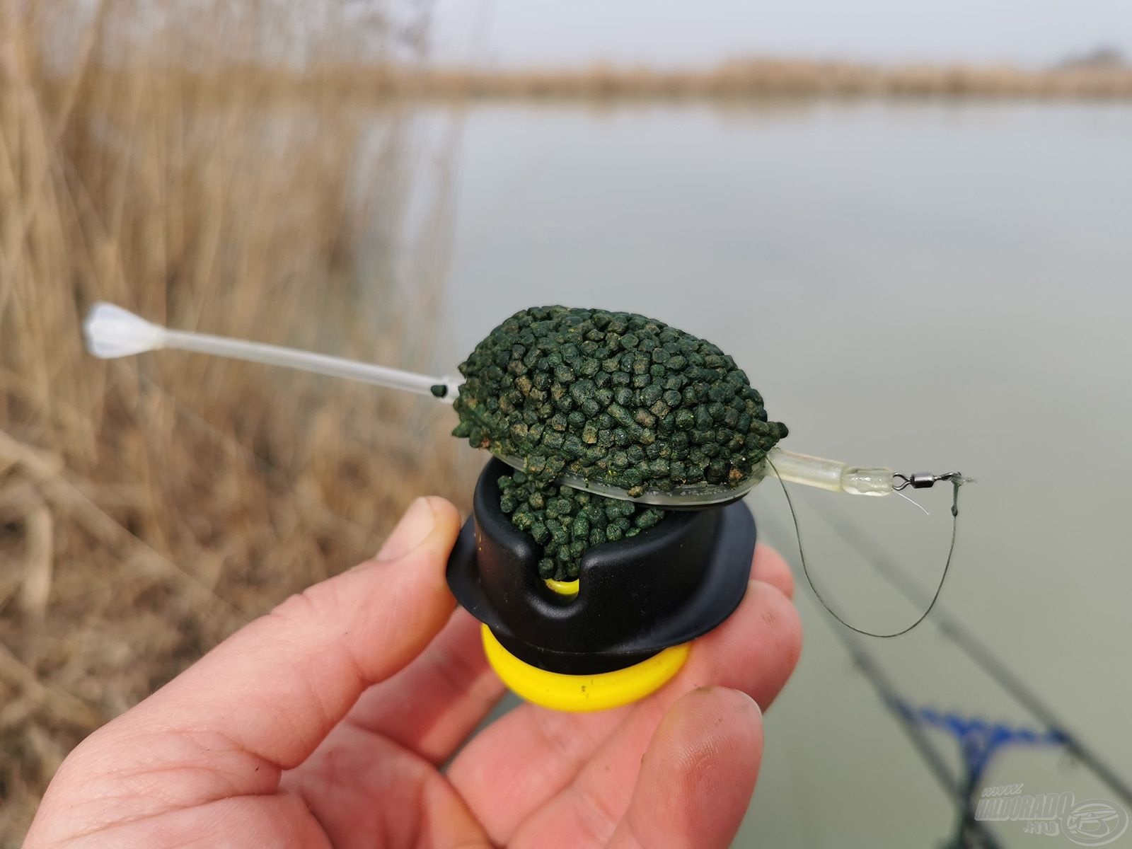 Aqua Garant Aqua Betain Complex Green - Haldorádó horgász áruház