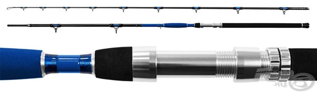 DELPHIN Hazard 3,1 m horgászbot | Haldorádó Webáruház